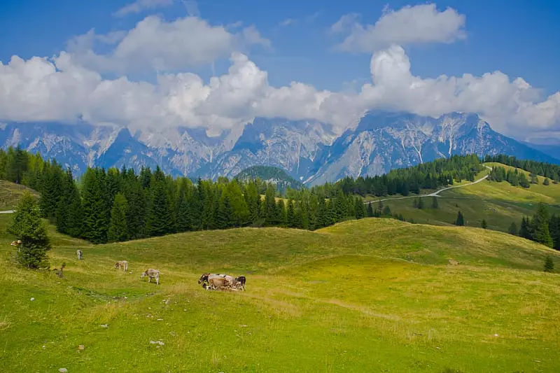 Ai piedi delle vette innevate delle Dolomiti c'è il paese dei mulini ...