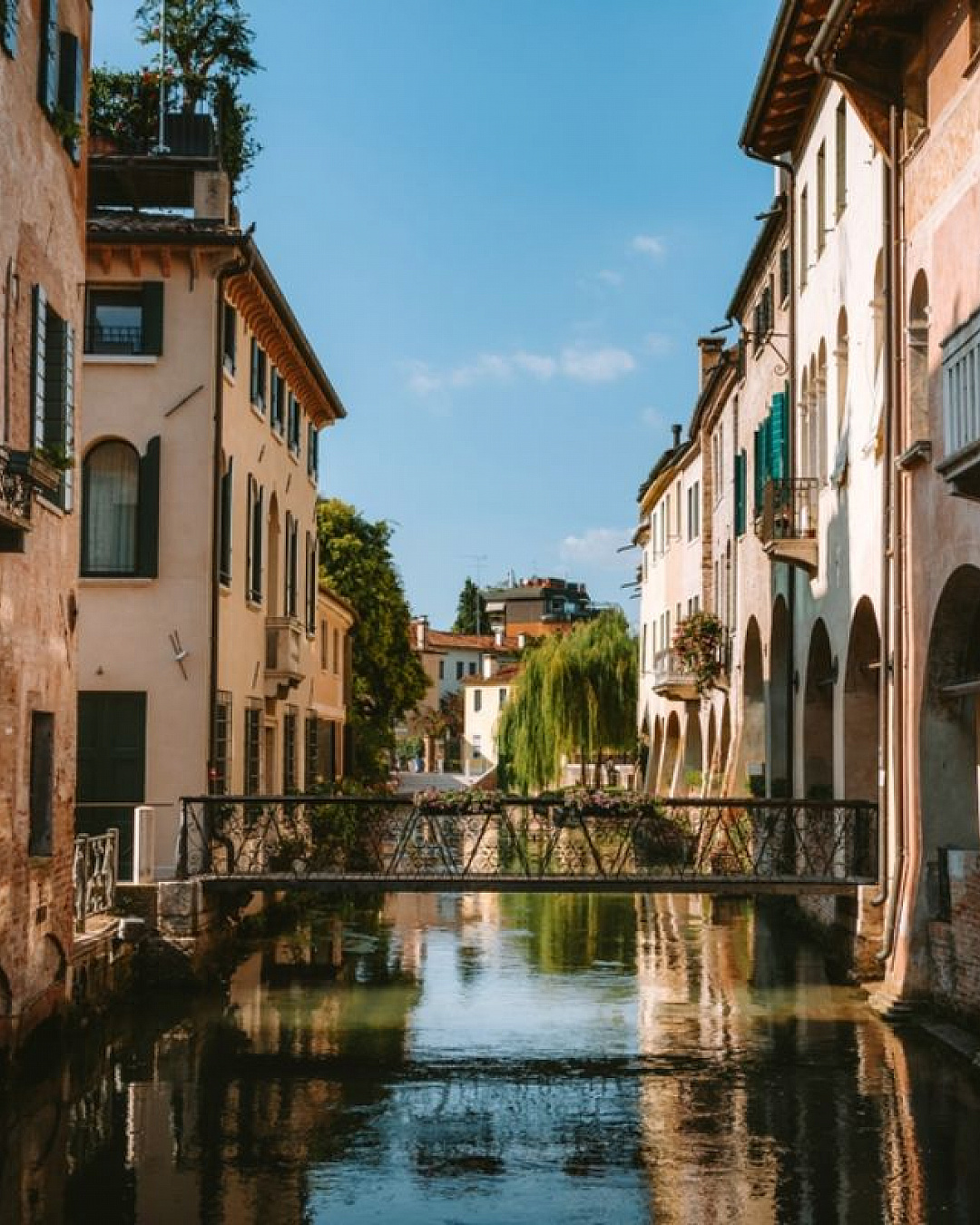 È il prodotto simbolo delle tavole d'autunno, ma per sapere dove si ...
